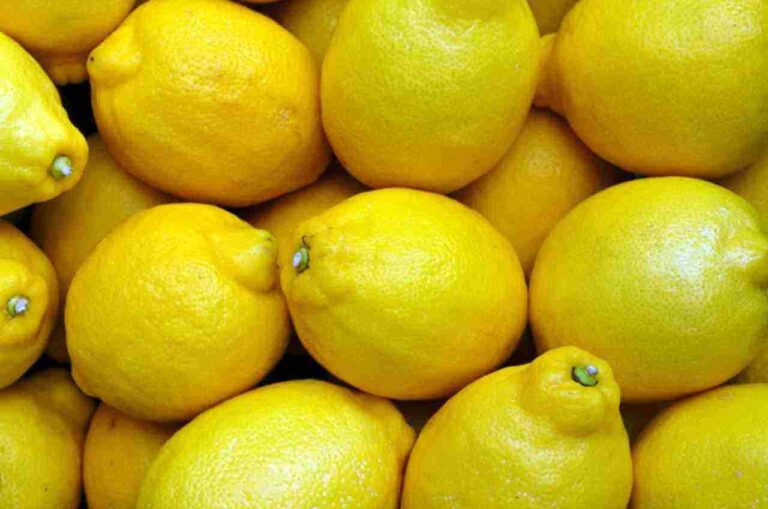 The Top 12 Best Healthiest Fruits - Buddy Choice Articles