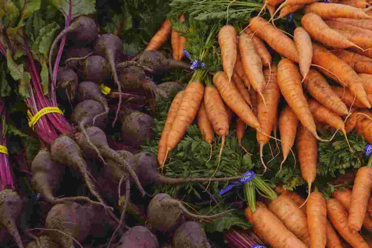 8 Best Healthiest and Nutritious Root Vegetables that Work Wonders on ...