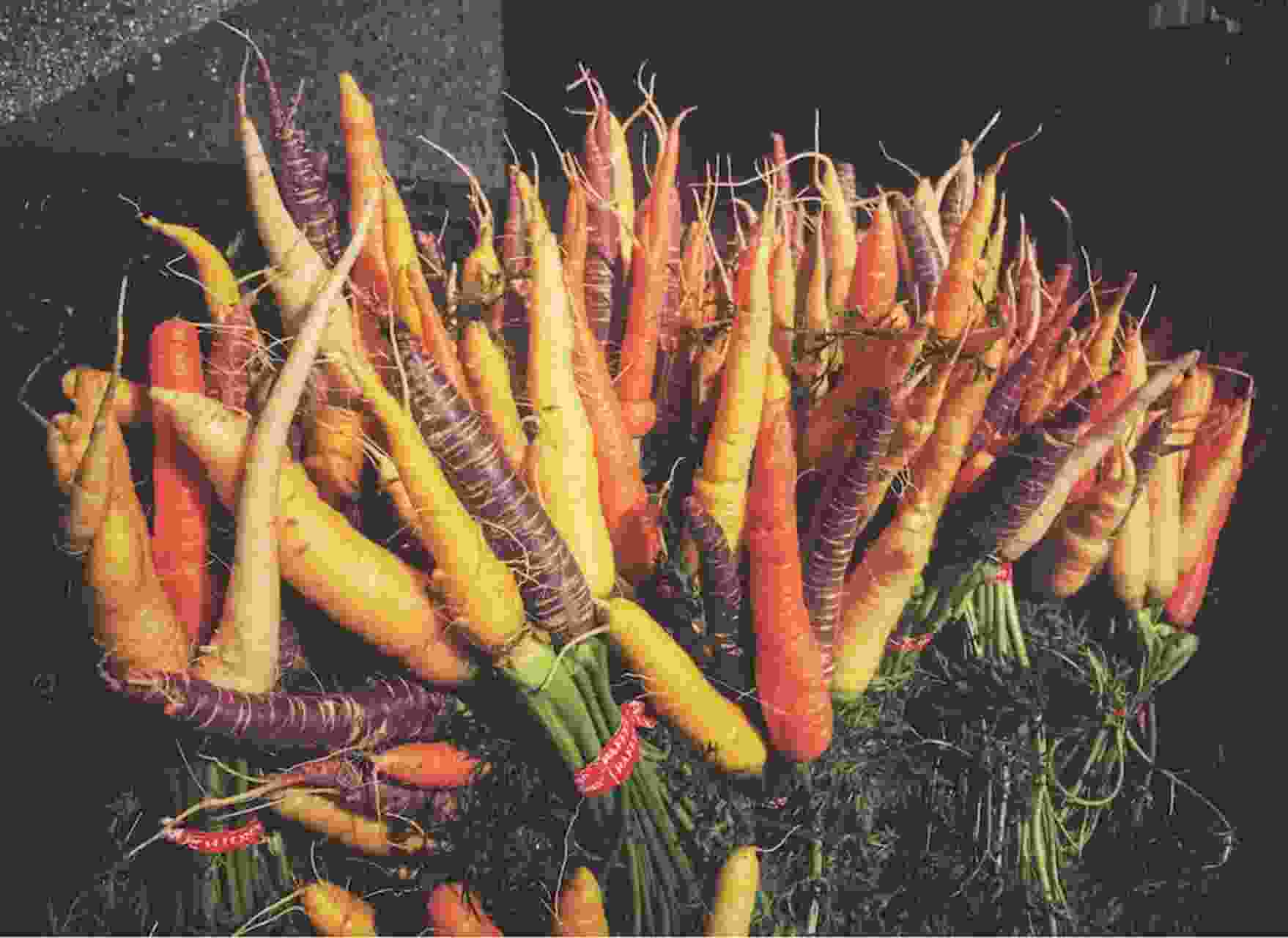 8 Best Healthiest and Nutritious Root Vegetables that Work Wonders on ...