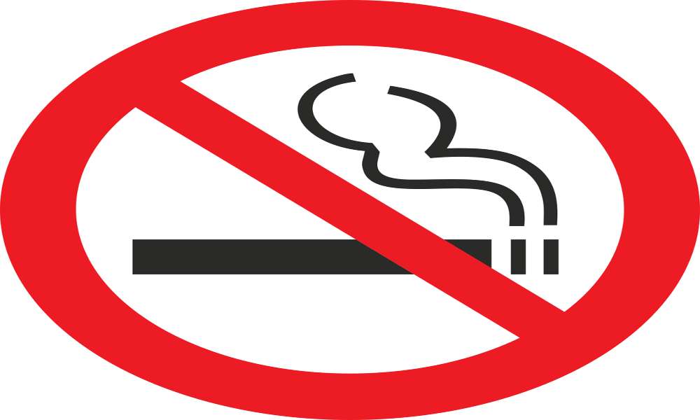 Why Smoking Kills? : Understanding the Deadly Consequences of Tobacco ...