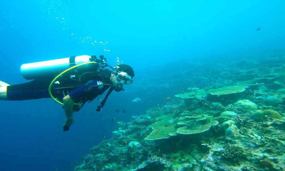 Exploring the Hidden Mysteries of Oceans: What's beyond great Oceans ...