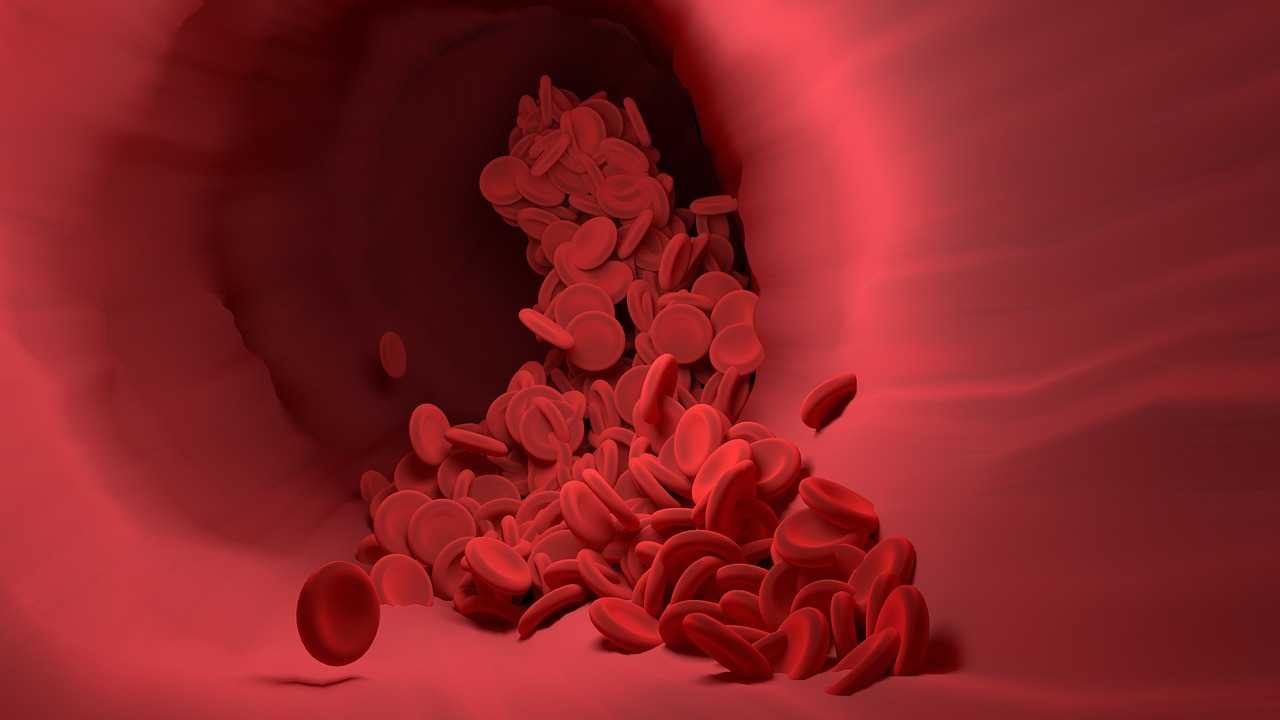 Best Foods For Blood Production - Buddy Choice Articles